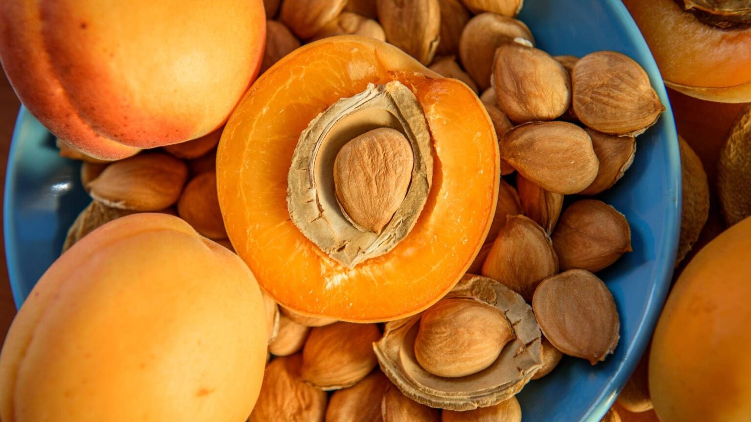 The Potential Health Benefits of Apricot Seeds: A Complete Guide ...